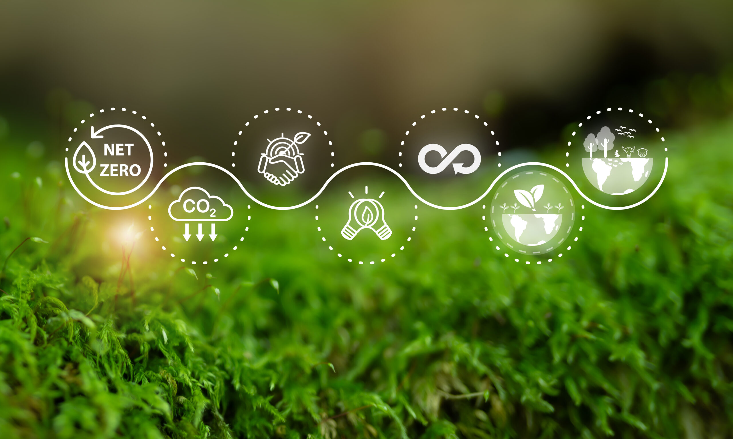 Decarbonization/Electrification | Genesis AEC